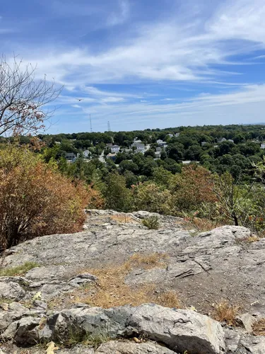 10 Best Hikes and Trails in Middlesex Fells Reservation | AllTrails