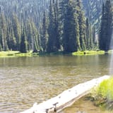 Moose Lake Loop, Idaho - 95 Reviews, Map | AllTrails