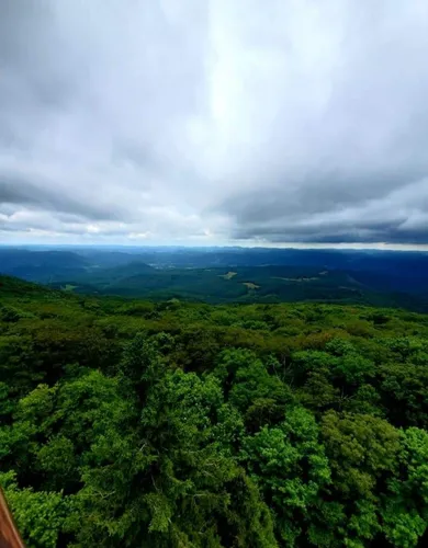 Best Hikes and Trails in Seneca State Forest | AllTrails