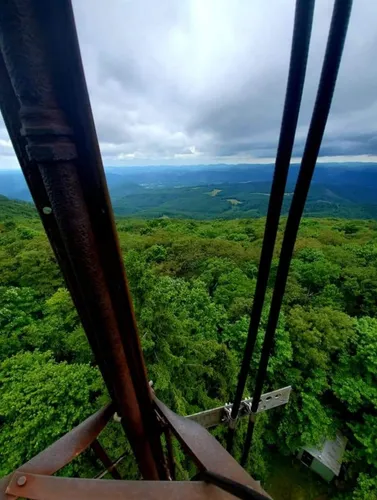 Best Hikes and Trails in Seneca State Forest | AllTrails