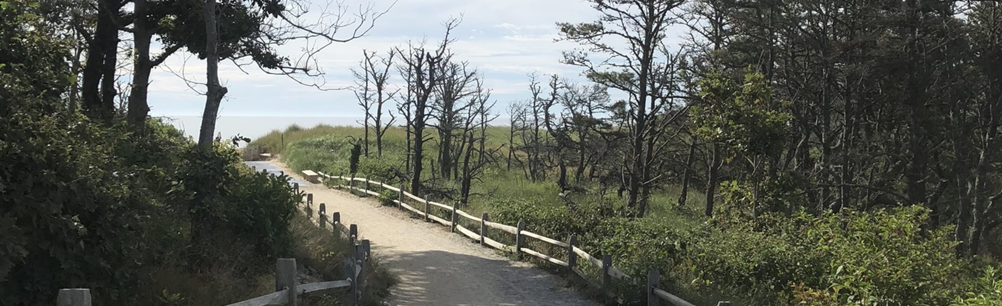 Nauset Light Beach Trail, Massachusetts - 33 Reviews, Map | AllTrails