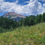 Engineer Mountain Trail, Colorado - 317 Reviews, Map | AllTrails