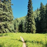 Engineer Mountain Trail, Colorado - 317 Reviews, Map | AllTrails
