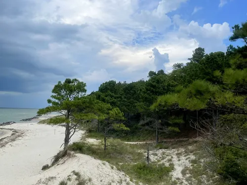 Best Hikes and Trails in Kiptopeke State Park | AllTrails