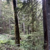 Lake Constance Trail, Washington - 199 Reviews, Map | AllTrails