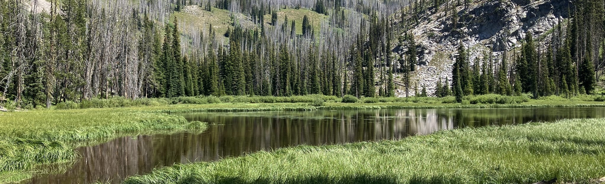 Rice Peak Loop, Idaho - 3 Reviews, Map | AllTrails