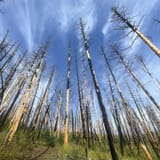 Lizard Lake Trail, Utah - 52 Reviews, Map | AllTrails