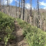 Lizard Lake Trail, Utah - 52 Reviews, Map | AllTrails