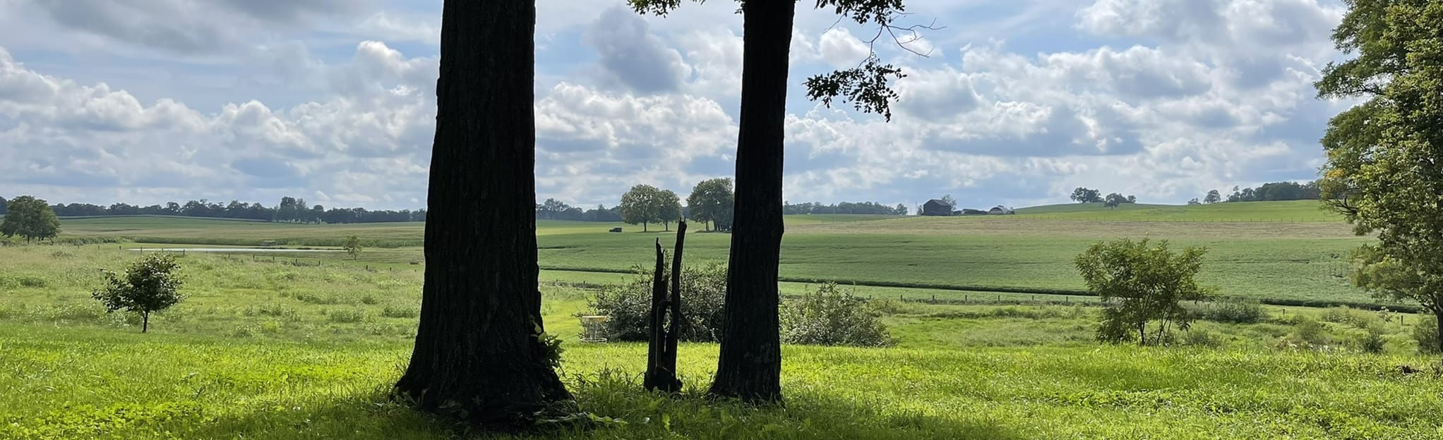 Woodford County Park Trail: 53 Reviews, Map - Kentucky | AllTrails