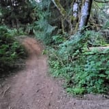 Rock Candy Mountain Trail, Washington - 83 Reviews, Map | AllTrails