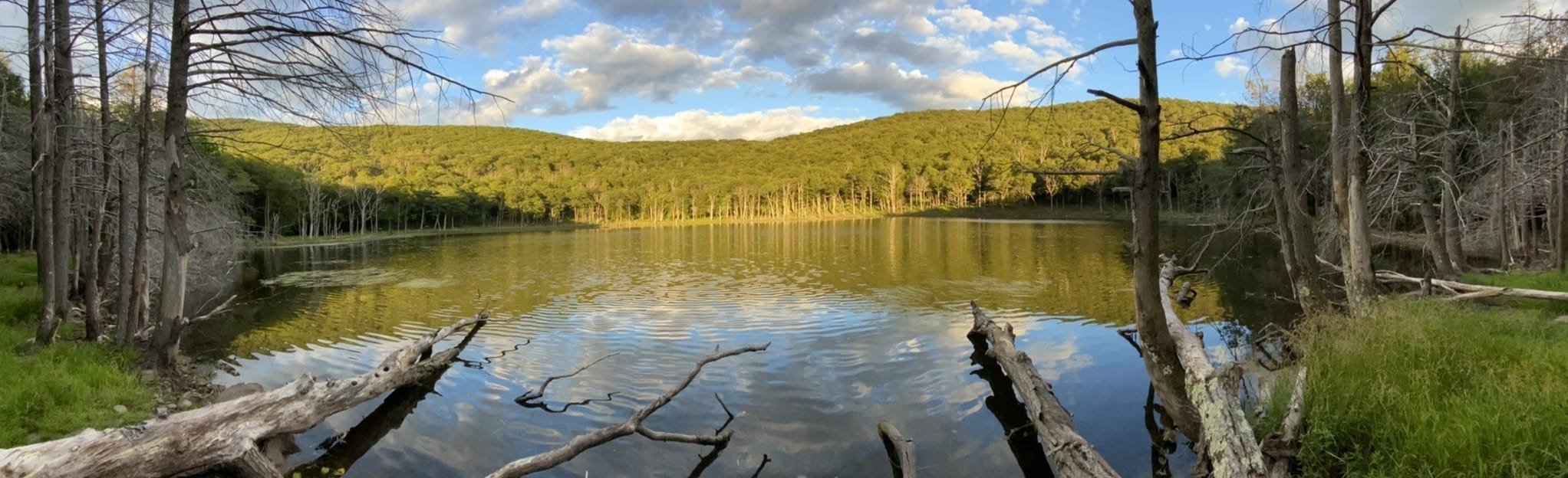 Echo Lake: 318 Reviews, Map - New York | AllTrails