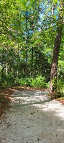 Best Hikes and Trails in Hubert By-Pass Park | AllTrails