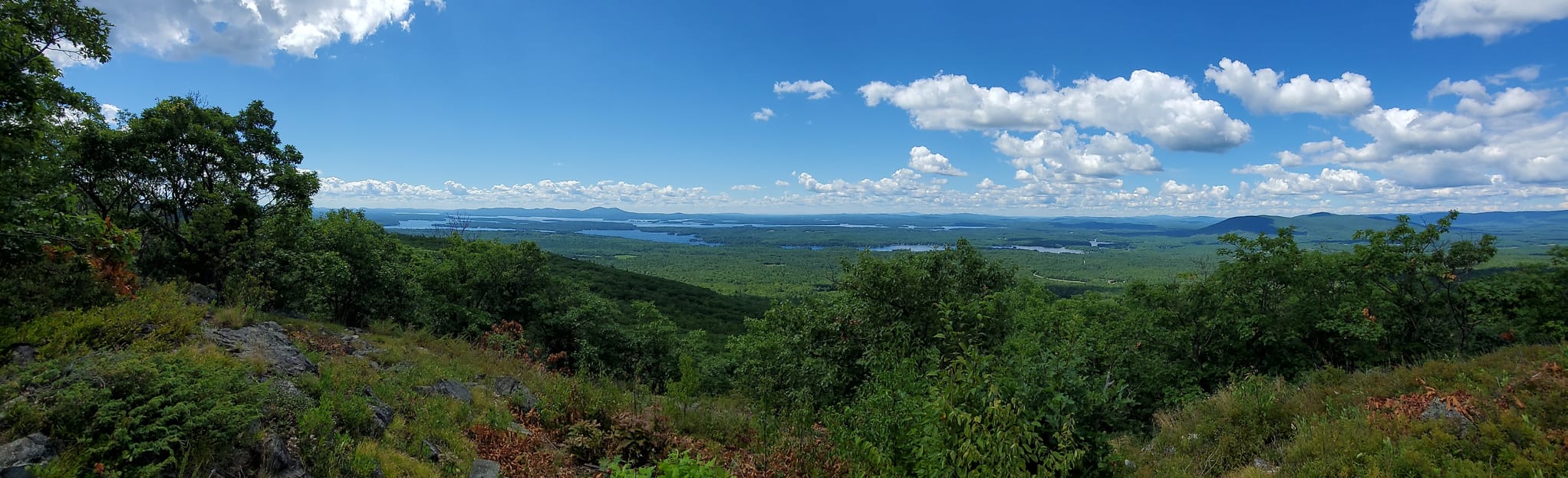 Mount Roberts Trail, New Hampshire - 2,364 Reviews, Map | AllTrails