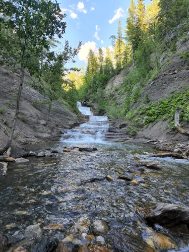 10 Best Trails and Hikes in Crowsnest Pass | AllTrails