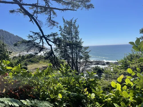 10 Best Hikes and Trails in Siuslaw National Forest | AllTrails