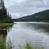 Grayling Lake Trail, Alaska - 108 Reviews, Map | AllTrails