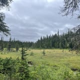 Grayling Lake Trail, Alaska - 108 Reviews, Map | AllTrails