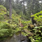 Grayling Lake Trail, Alaska - 108 Reviews, Map | AllTrails