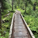 Grayling Lake Trail, Alaska - 108 Reviews, Map | AllTrails