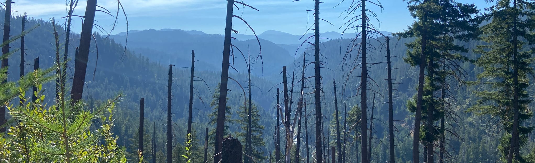 Bradley Ridge Trail to Boulder Creek Trail: 8 Reviews, Map - Oregon ...