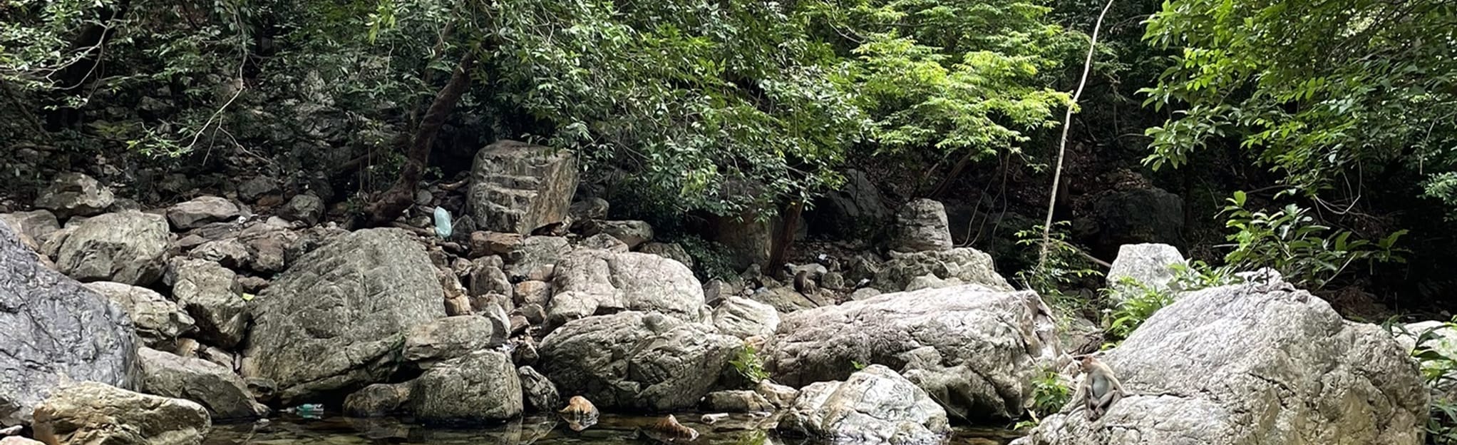 Tada Falls Loop, Andhra Pradesh, India - Map, Guide | AllTrails