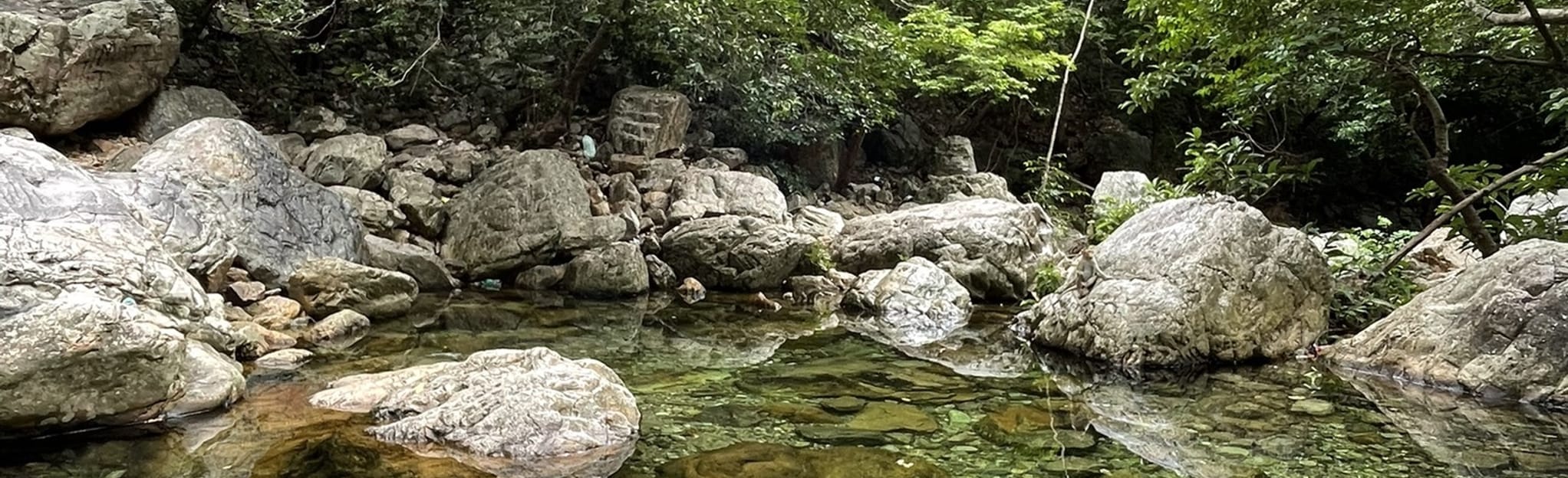 Tada Falls: 1 Reviews, Map - Andhra Pradesh, India | AllTrails