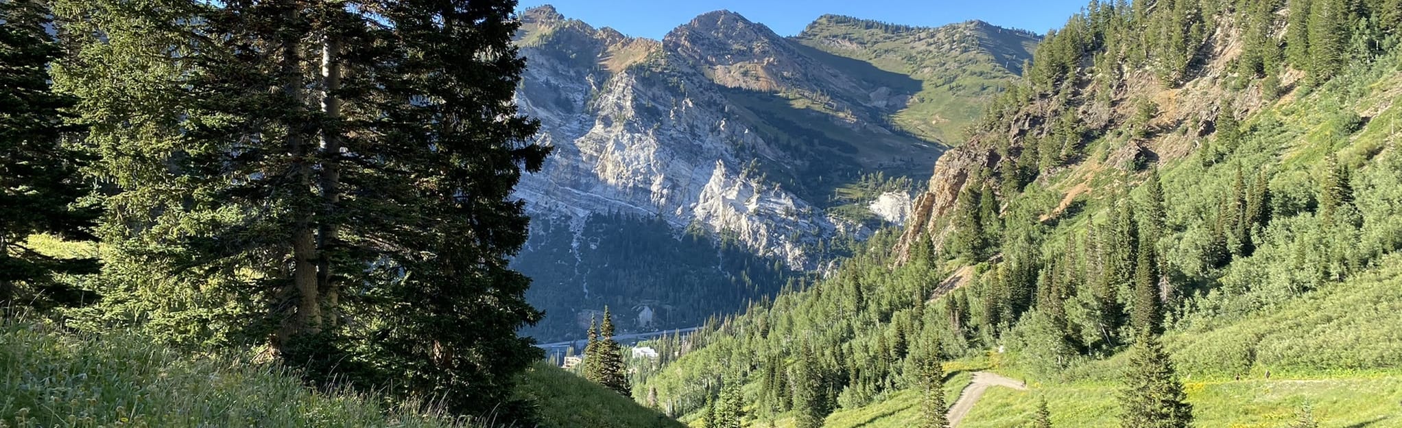 Snowbird Ridge, Hidden Peak and Twin Peaks, Utah - 300 Reviews, Map ...