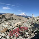 Mount Aix Trail, Washington - 147 Reviews, Map | AllTrails