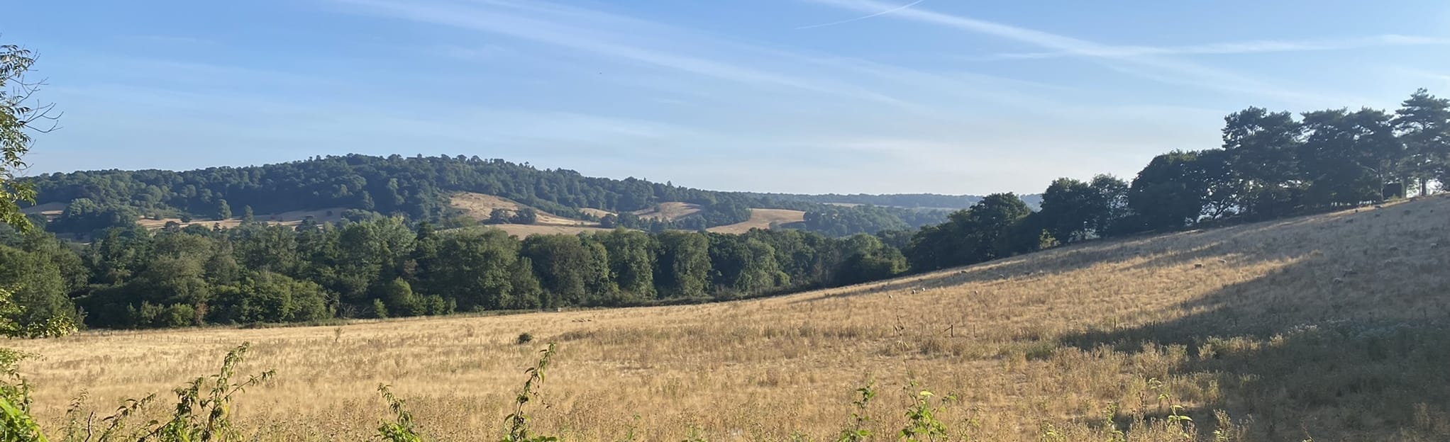 Chilworth to Blackheath Common Loop, Surrey, England - 36 Reviews, Map ...