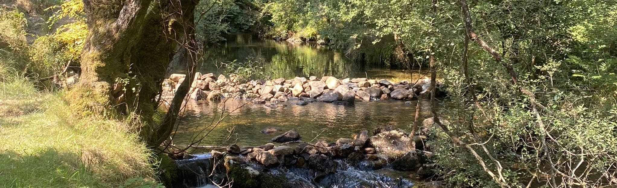 Belstone River and River Taw Circular: 68 Reviews, Map - Devon, England ...