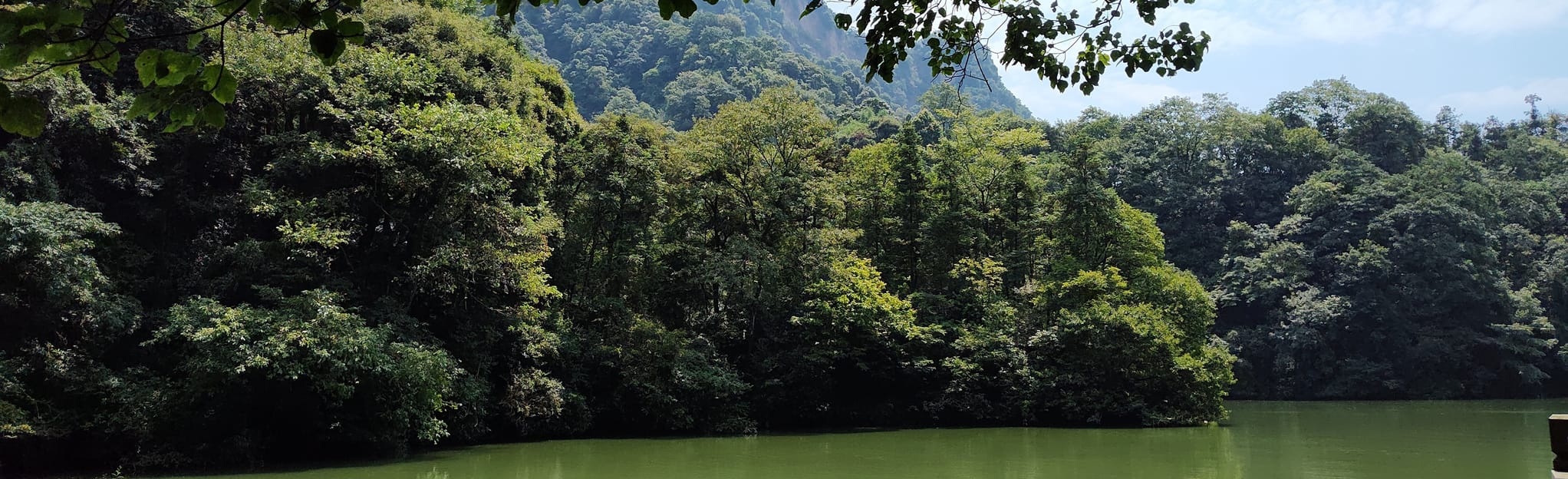 Qingcheng Mountain Hike: 23 Reviews, Map - Sichuan, China | AllTrails