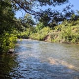 Boardman/Ottaway River Trail, Michigan - 244 Reviews, Map | AllTrails