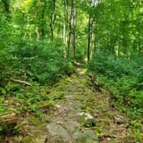 West Branch State Park Loop, Ohio - 409 Reviews, Map | AllTrails