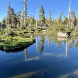 Bayview Trail to Velma Lakes, California - 401 Reviews, Map | AllTrails