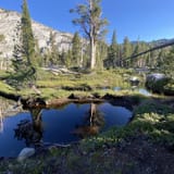 Bayview Trail to Velma Lakes, California - 347 Reviews, Map | AllTrails