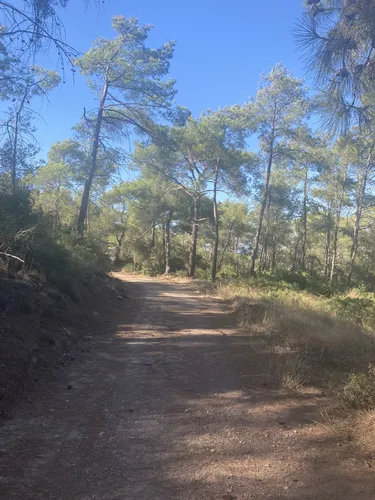Best Hikes and Trails in Akamas Forest | AllTrails