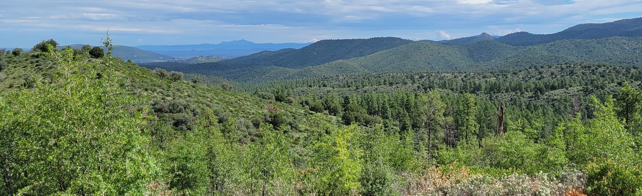 Smith Ravine Trail, Arizona - 484 Reviews, Map | AllTrails