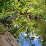 Paul Ruster Trail, Indiana - 235 Reviews, Map | AllTrails