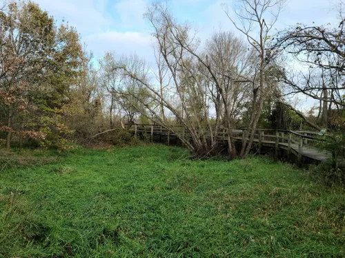 Best Hikes and Trails in Grimes Farm and Conservation Center | AllTrails