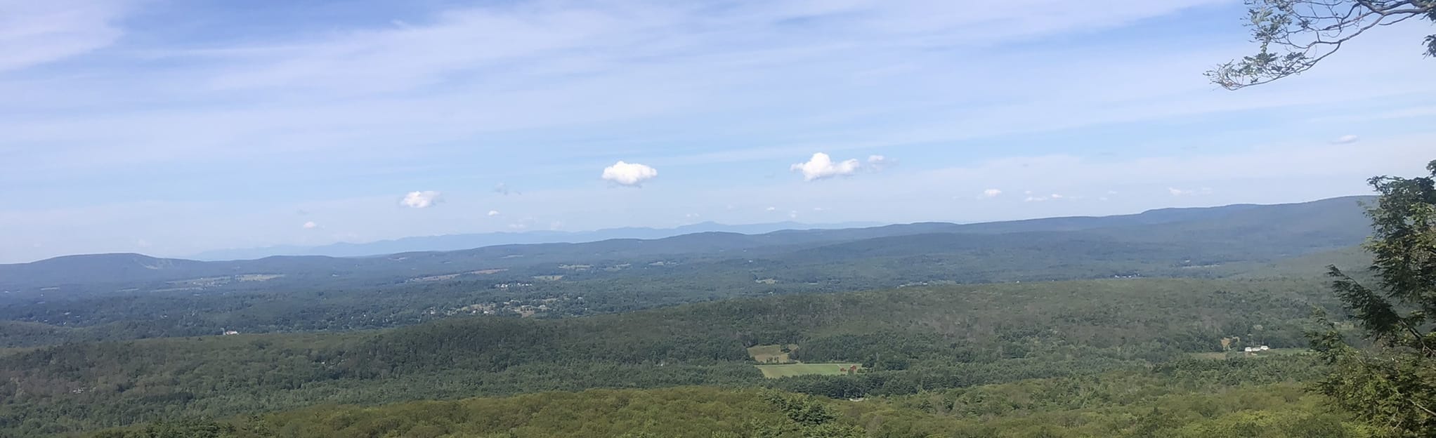 Beartown Lookout Trail: 37 Reviews, Map - Massachusetts | AllTrails