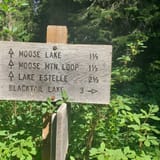Moose Lake Loop, Idaho - 95 Reviews, Map | AllTrails