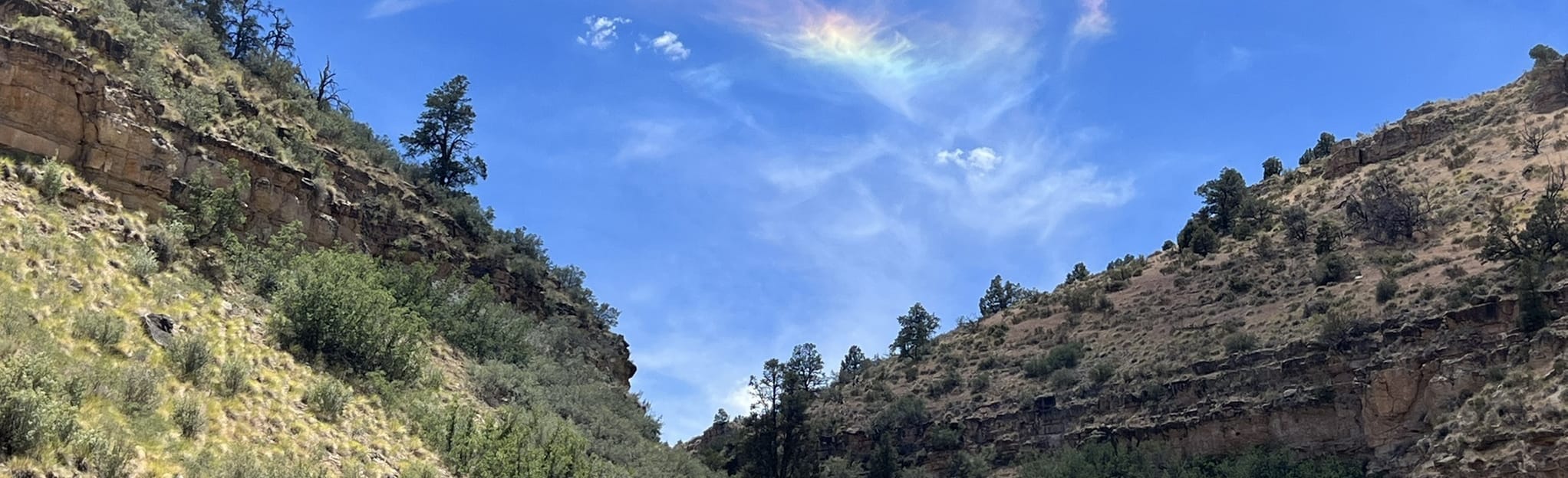 Snake Gulch Rock Art, Arizona - 28 Reviews, Map | AllTrails