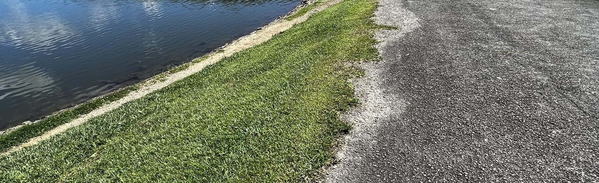 Keystone Lake Loop, Pennsylvania - 292 Reviews, Map | AllTrails