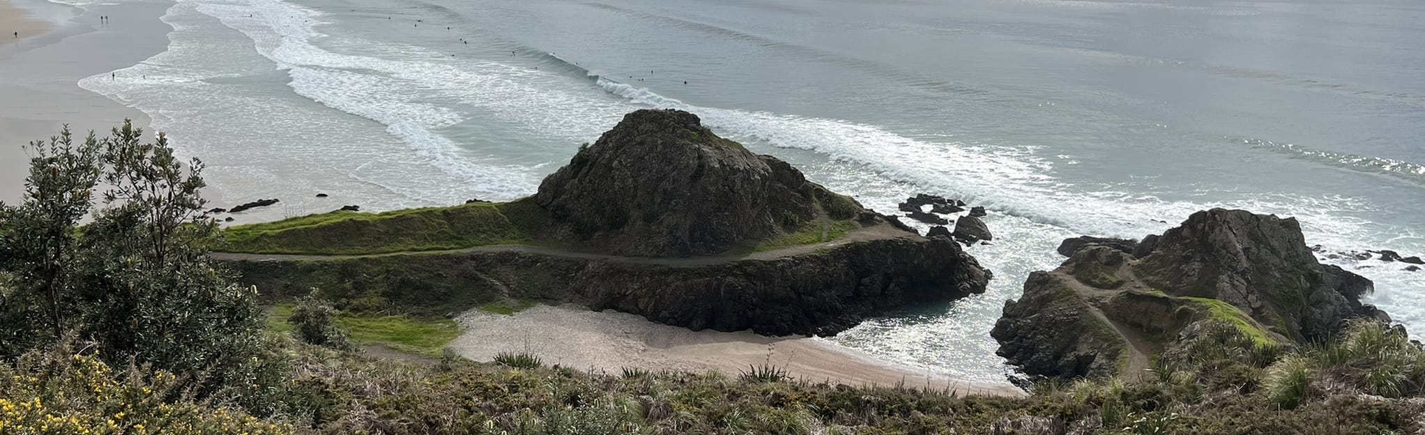 Te Arai Regional Park Walk: 5 Reviews, Map - Auckland, New Zealand ...