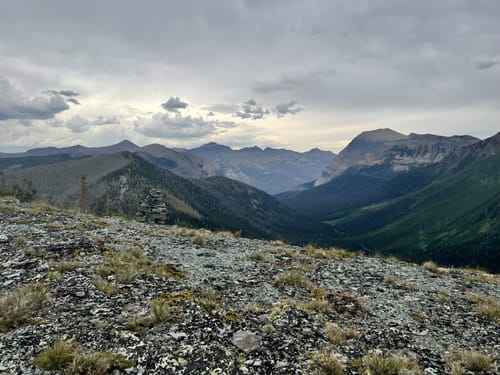 2023 Best Forest Trails in Akamina-Kishinena Provincial Park | AllTrails