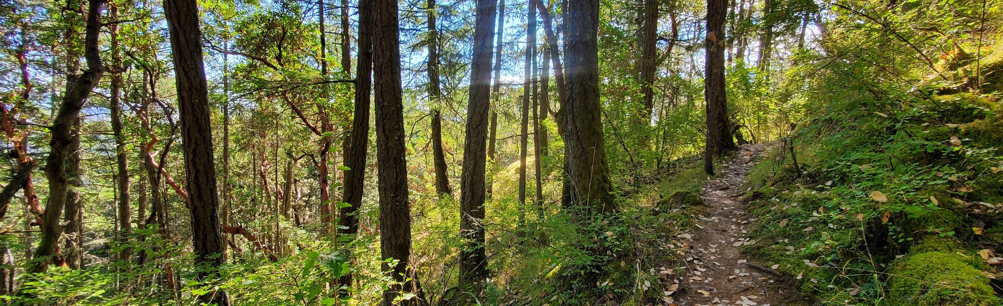 Durrance Partridge Hill Ridge Hike, British Columbia, Canada - 42 ...