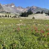 Broken Top Loop, Oregon - 259 Reviews, Map | AllTrails