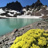 Broken Top Loop, Oregon - 261 Reviews, Map | AllTrails