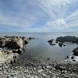 Parson's Way, Maine - 348 Reviews, Map | AllTrails