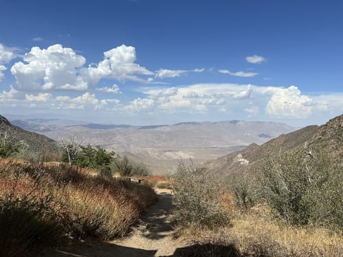 2023 Best 10 Trails and Hikes in Mount Laguna | AllTrails